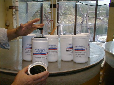 Marine Microalgae | Innovative Aquaculture Products LTD.